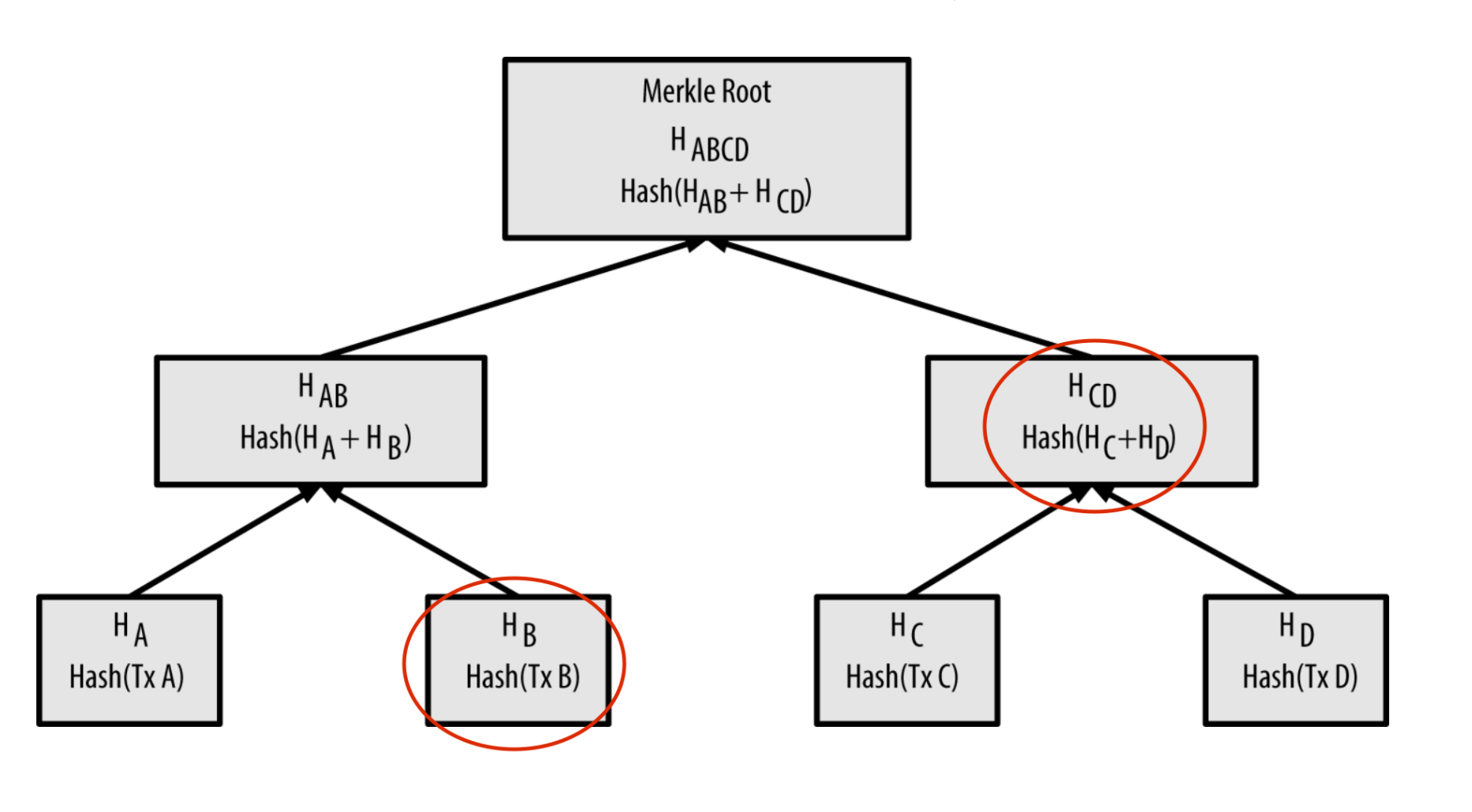 Merkle Trees Y Prueba De Inclusión Con Typescript Y Tdd Software Crafters Software Crafters